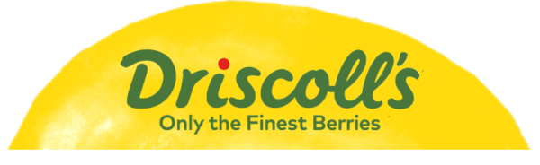 logo-driscolls-texture-01 - Essencius